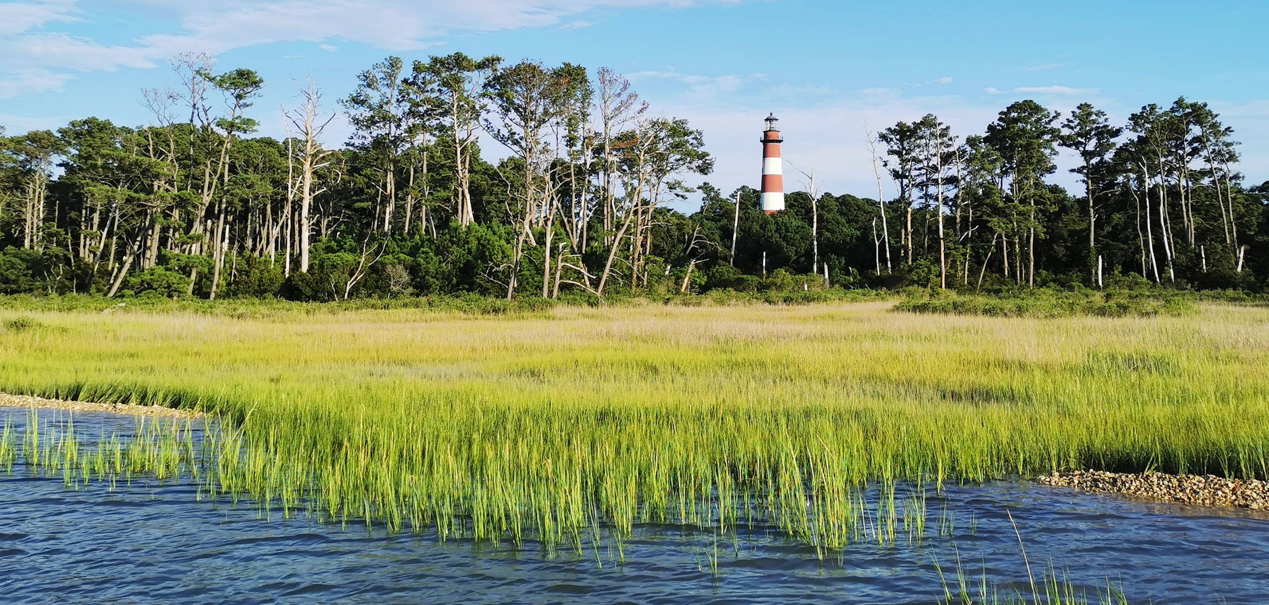 Coastal Shore Vacations | Virginia's Eastern Shore Vacation Rentals